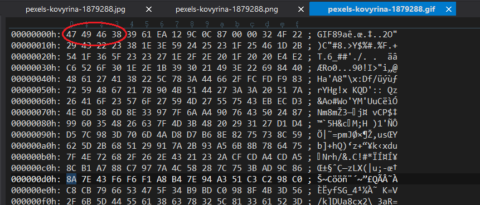 Identifying Corrupted or Unknown Files with File Headers Using Hex ...