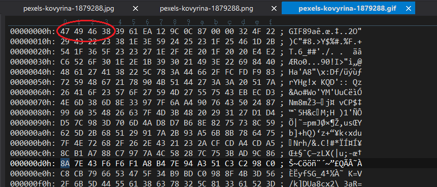 Identifying Corrupted or Unknown Files with File Headers Using Hex ...
