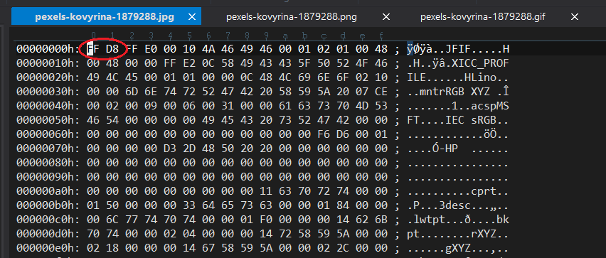 Identifying Corrupted or Unknown Files with File Headers Using Hex ...