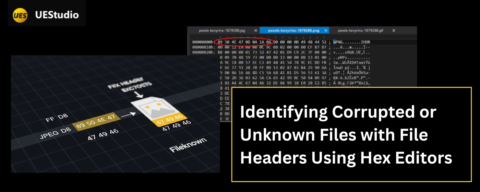 Identifying Corrupted or Unknown Files with File Headers Using Hex ...